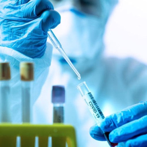 Sample Testing at Best Prices in New Delhi