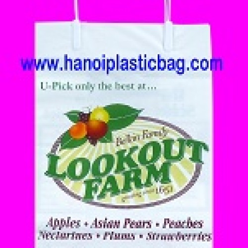 Rigid handle bags at Best Prices in HA NOI